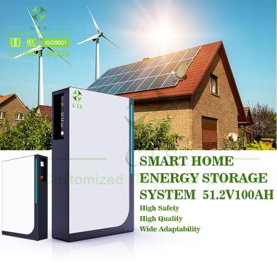 Cina Litio Ion Batteries 5kwh 48V 100Ah di immagazzinamento dell'energia Lifepo4 fissato al muro in vendita