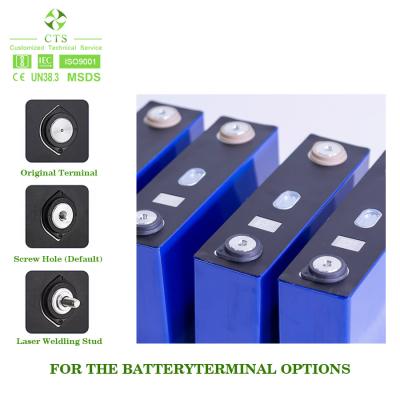 Cina CTS Lithium Ion Battery 3.2v Prismatic 115ah Lifepo4 Battery Cells 3.7v in vendita