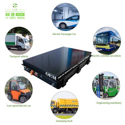 Cina Batterie per veicoli a motore con batteria a ioni di litio OEM in vendita