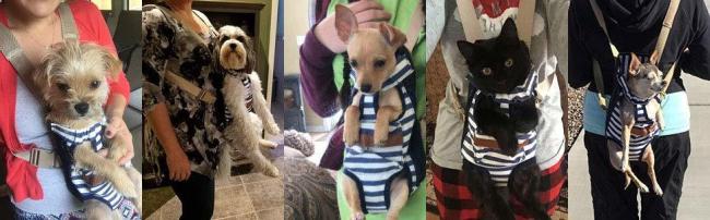 Adjustable Straps Easy-in & out Pet Front Pack Design Hand-Free Pet Dog Carrier