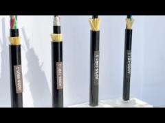 24 Core ADSS All-Dielectric Self-Supporting ADSS Fiber Optic Cable SM G652D With Aramid Yarn