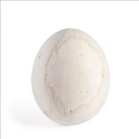 China Customized Marble Easter Egg Decorative Marble Eggs Modern Minimalist for sale