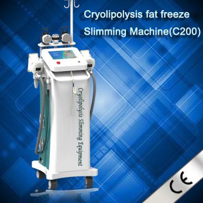 China Newest Zelitq Cryolipolysis Fat Dissolved Machine With Cold Wave Cooltherapy Beauty for sale