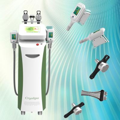 China Hot sale Vertical amazing result with 5 professional treatment heads to losing weight for sale