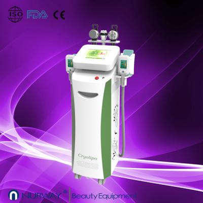China Newest fast amazing result cryolipolysis system equipment to lose weight for sale