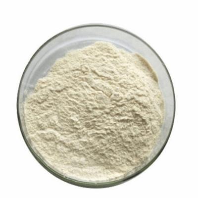 China 98% purity white color powder BMK PMK with top quality and lowest price whatsapp:8613165546610 for sale