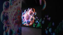 Indoor Transparent LED Display | Curved Screen Visual Demo | LIONLED