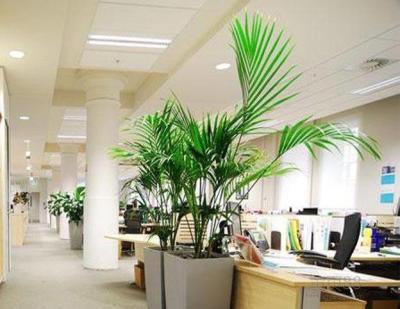 China Professional Service Solution Small Office To Rent London For Rent Office Space for sale