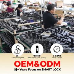 China Factory - Dongguan Qleung Electronic Co., Ltd.