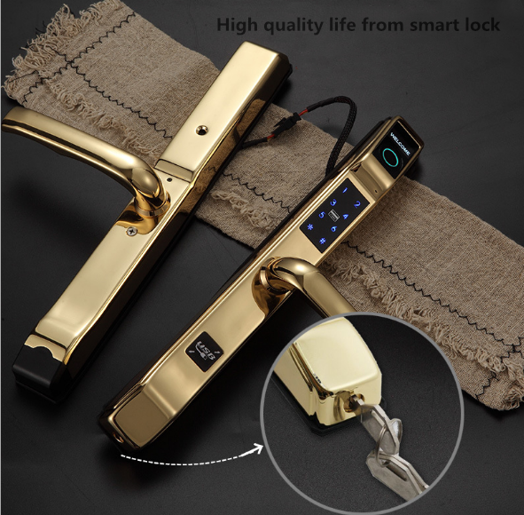 High Waterproof IP65 Smart Rainy Day Mode Outdoor Tuya APP Intelligent Fingerprint Sliding Door Lock