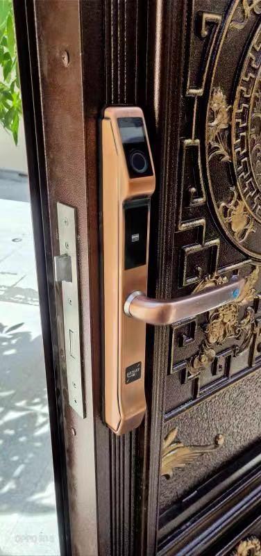 High Waterproof IP65 Smart Rainy Day Mode Outdoor Tuya APP Intelligent Fingerprint Sliding Door Lock