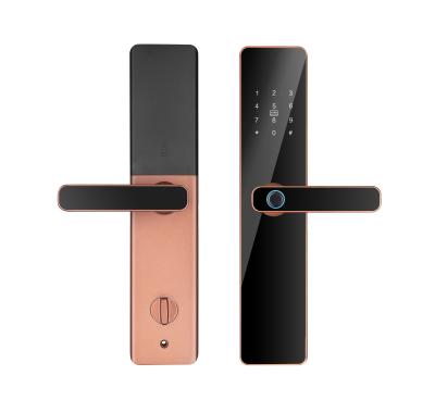 China Office Biometric Fingerprint Password Key Card WIFI BLE Intelligent Door Lock Qleung S819 for sale