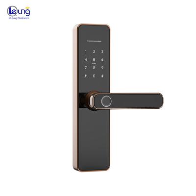 China Smart Life Tuya Wifi Lock WiFi TTlock BLE Ontsluit stalen deur met wachtwoord vingerafdruk Te koop