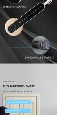 China Black Tuya BLE Biometric Fingerprint Door Lock S604L Keyless Entry Door Lock for sale