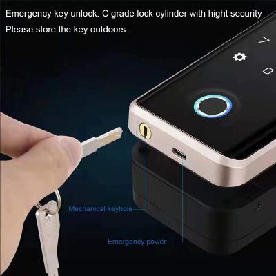 China 3D Face Recognition Electronic Glass Door Lock Fingerprint Password Lock for sale