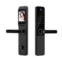 China 9 Language Electronic Door Locks Bluetooth Keyless Entry Door Lock for sale