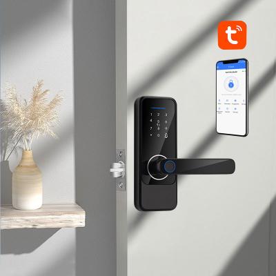 Cina S810 Serratura automatica delle porte con impronte digitali in vetro temperato in lega di alluminio in vendita