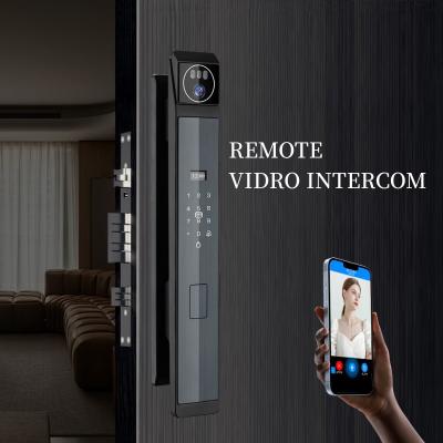 China Aluminum Alloy Video Intercom Door Lock 3D Face ID Recognition Door Lock for sale