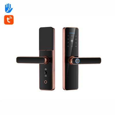 China Intelligent wachtwoord vingerafdruk deur slot TTlock Auto deur slot voor thuis for sale