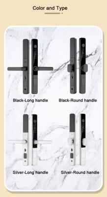 중국 3kg 앱 제어 앞문 잠금 Ttlock 스마트 잠금 알루미늄 문 판매용