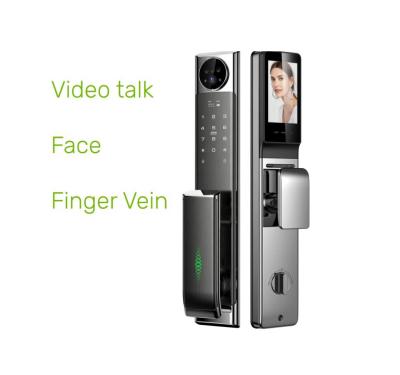 China Qleung S923MAX Intelligent Video Calling Face Recognition Fingerprint Smart Door Lock for sale