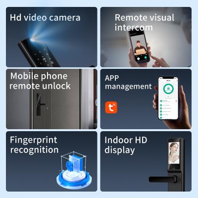 Cina Qleung Video Calling Camera Wifi Impressione digitale Codice Carta chiave Tuya Chiusura porta per Home Hotel in vendita