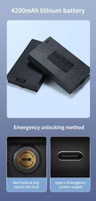 Cina S666max 3D Face ID Recognition Door Lock con scheda di videochiamata in vendita