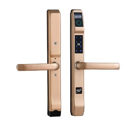 China IP65 Waterproof Smart Fingerprint Door Lock with Tuya APP WiFi Control for sale