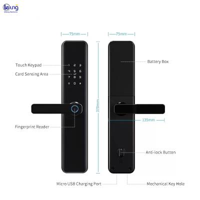 China QLEUNG S818 Smart Wifi Door Lock with Fingerprint Password Card Access for sale