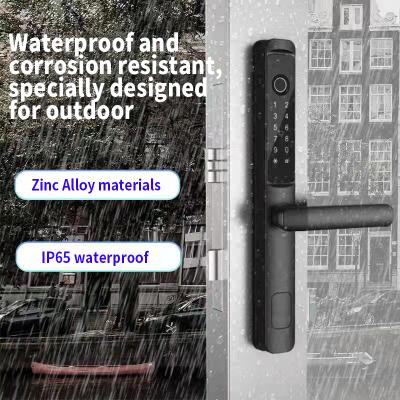 China Black Zinc Alloy Smart Lock with Fingerprint Password NFC Keyless Entry for sale