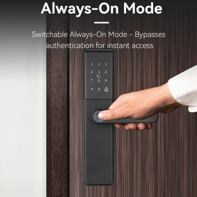 China Qleung S851 Smart Home Door Lock Tuya Wifi Smart Remote Control Fingerprint Password Card Key for Hotels Apartments Offices for sale