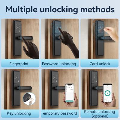 China Qleung S851 Smart Home Door Lock Tuya Wifi Smart Remote Control Fingerprint Password Card Key for Hotels Apartments Offices for sale
