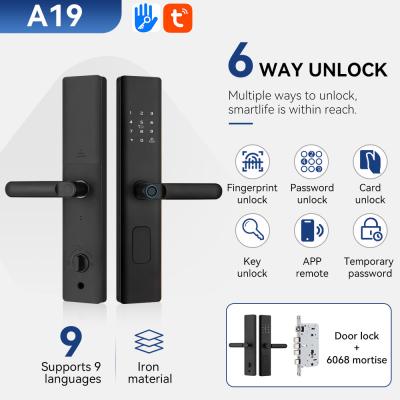 China Qleung A19 Smart Door Lock with 6-in-1 Multi Unlock Ways, 0.5s Fast Semiconductor Fingerprint Sensor and Built-in Electronic Doorbell for sale