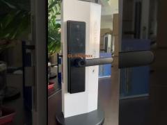 Qleung Tuya Wifi APP Poignée de porte intelligente Contrôle à distance Empreinte digitale Code Carte Clé S821Max Maison Avec Caméra