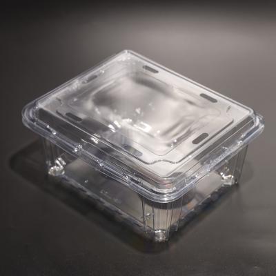 Imballaggio alimentare rettangolare Contenitore di plastica PET Contenitori per la conservazione degli alimenti ecologici