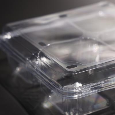 China Eco Friendly 4-compartment Leak Proof Rectangular Disposable Plastic Food Container for sale