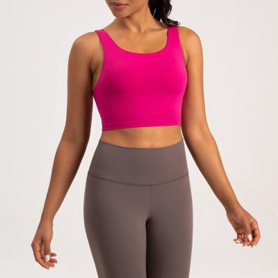 China Seamless Yoga Sports Bra Crop Top Bright Magenta Buttery Soft Medium Support Breathable for sale