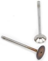 China 036109601AD Engine Parts Engine Valve for sale
