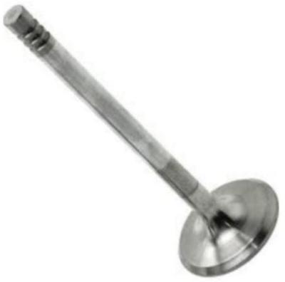 중국 032109601L 엔진 부품 엔진 밸브 판매용