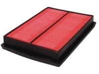 China 1654673C10 Engine Parts Air Filter for sale