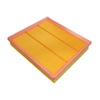 China 1373667 Engine Parts Air Filter for sale