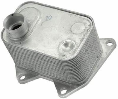 중국 06K117021B 엔진 부품 오일 냉각기 판매용