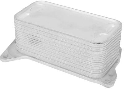 China 11428510856 Partes del motor BMW Frío de aceite en venta