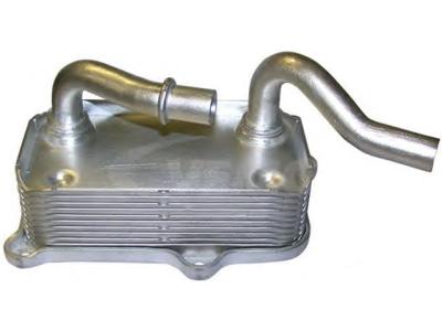 China 1121880401 Partes del motor Refrigeración de aceite en venta