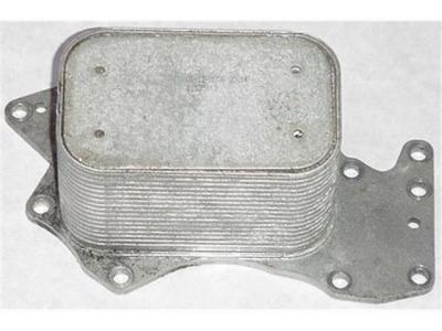 China 059117021J Motorteile Ölkühler zu verkaufen