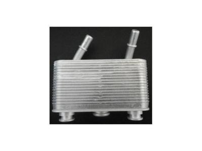 Китай 17207500754 Части двигателя BMW Оливковый охладитель продается