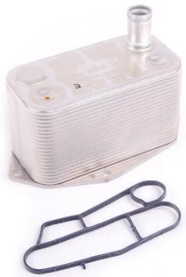 China 11422247204 Motorteile BMW Ölkühler zu verkaufen