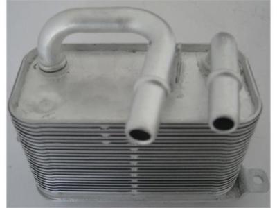 China 17217519213 Motorteile BMW Ölkühler zu verkaufen