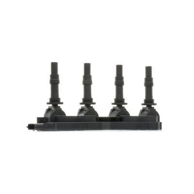 中国 1208008 エンジン部品 オペルASTRA H TwinTop (A04) の点火コイル 販売のため