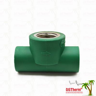 China PPR Valve Base Bottom For Stop Valve ISO Customized Size/Logo/Color for sale